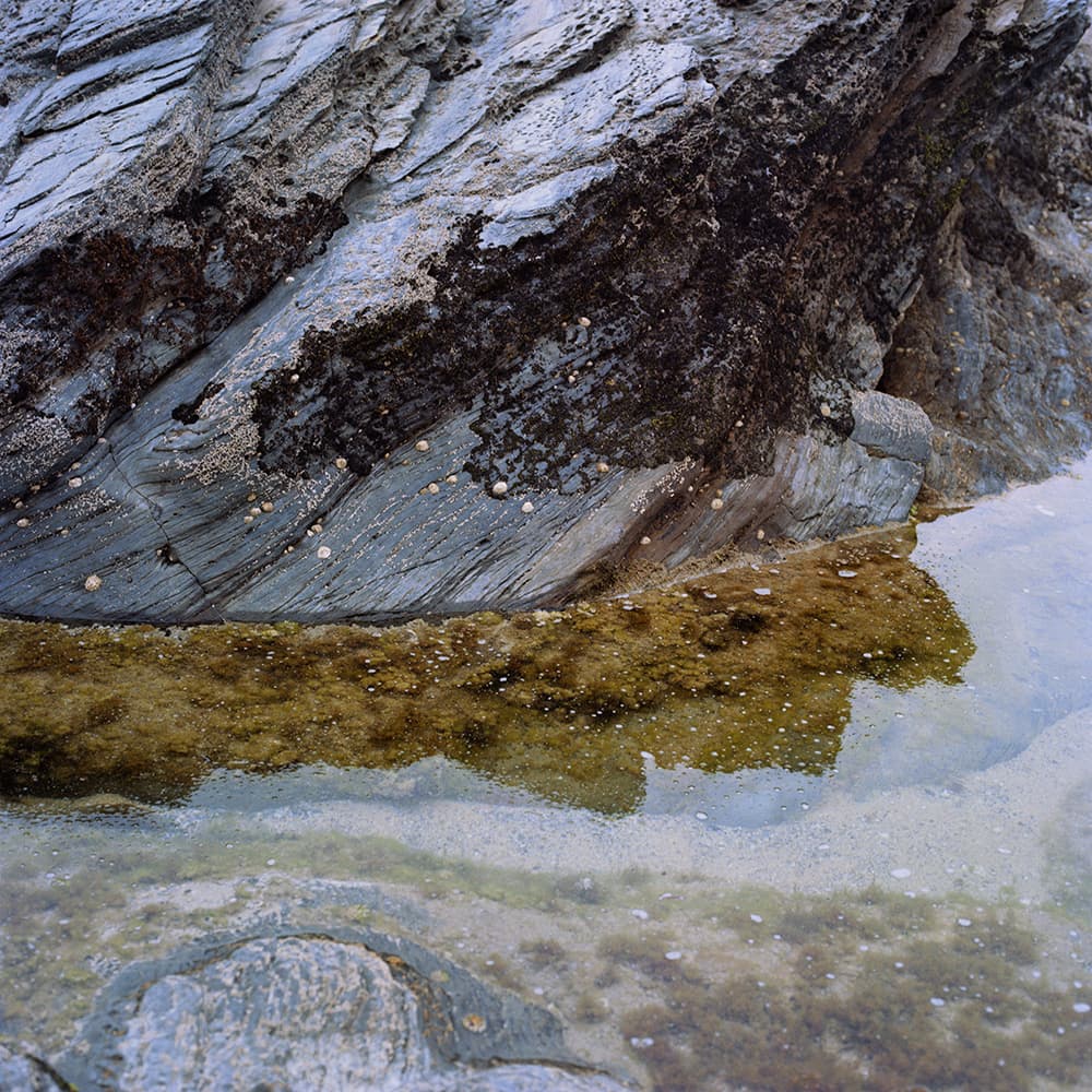 Catarina Osório de Castro