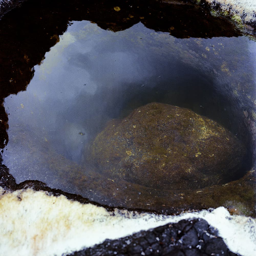 Catarina Osório de Castro